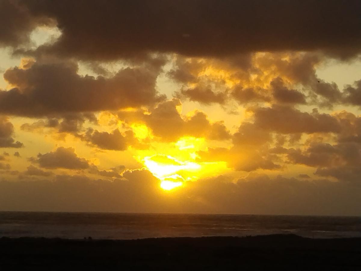 Activate Your Radiant Circuits | Karamea.nz